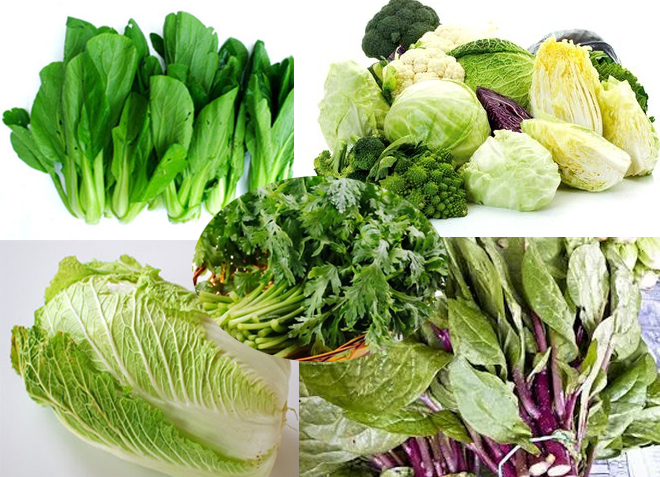 Các loại hạt giống rau cải - Siêu Thị Hạt Giống